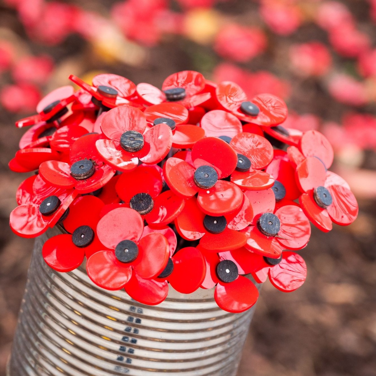 St Clement's High School - St Clement’s ‘Poppy Tree’ tribute continues ...
